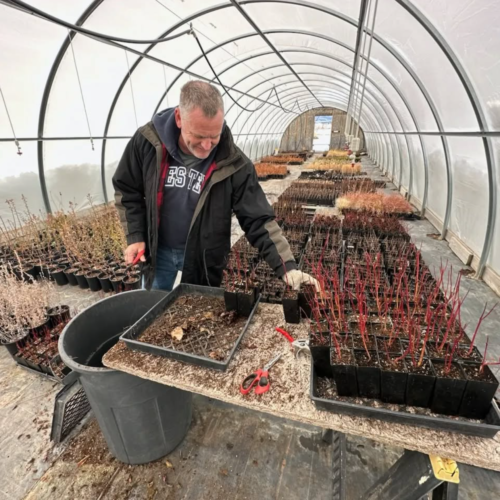 Contract Growing - Colorado Hardy Plants